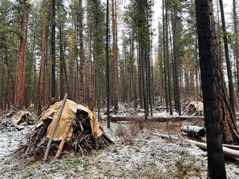 city of kimberley advances wildfire risk reduction with support from