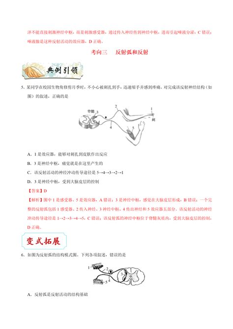 [初中生物] 考点27 神经系统的组成和神经调节的基本方式 知乎