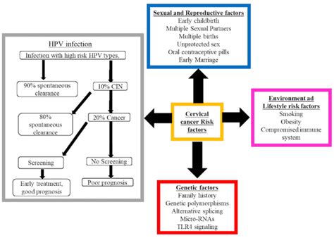 Cervical Cancer Risk Factors