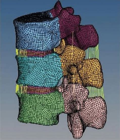 The Segment Finite Element Model Download Scientific Diagram