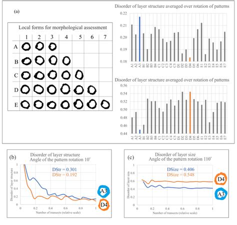 figure 16 from comparison of quantitative morphology of layered and