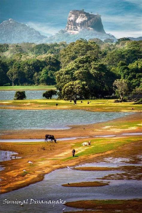 Where Is Sri Lanka Added A New Photo Where Is Sri Lanka