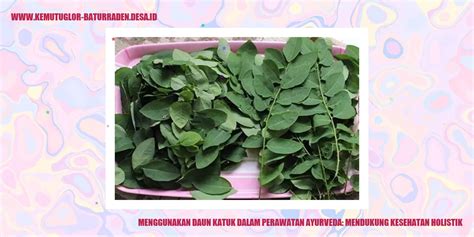 Menggunakan Daun Katuk Dalam Perawatan Ayurveda Mendukung Kesehatan