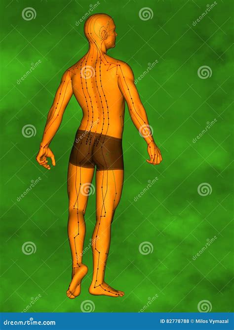 Acupuncture Model 3d Model Stock Illustration Illustration Of