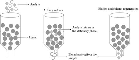 Principle Of Affinity Chromatography Download Scientific Diagram