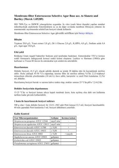 Membrane Filter Enterococcus Selective Agar