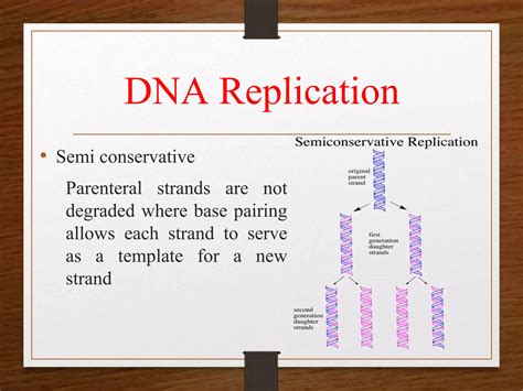 Replication Pptx Chemistry Science Replication Pptx Chemistry Science