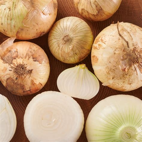 양파 손질법 이거면 끝 새미네부엌