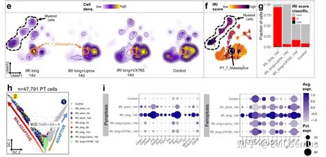 单细胞轨迹分析之应用篇 知乎