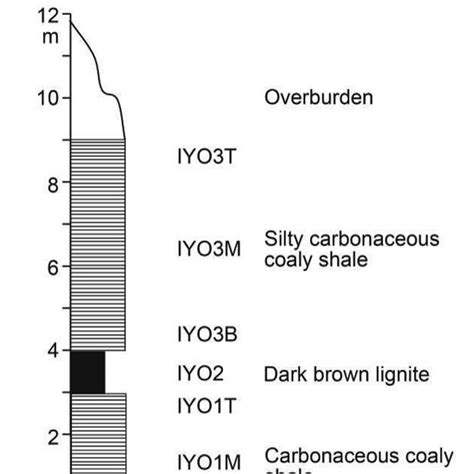 Typical Genera Of Foraminifera And Their Paleoecological Water Depth