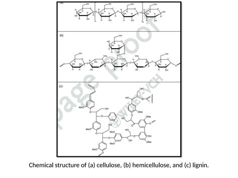 Hemicellulose Structure And Importance Pptx