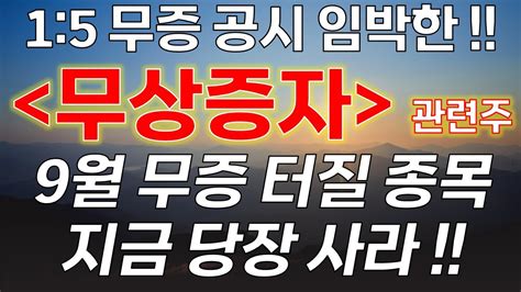 무상증자 관련주 15 무증 공시 임박한 9월에 무증 터질 종목 지금 당장 사라 엔지켐생명과학공구우먼폴라리스우노지투파워 분석 Youtube
