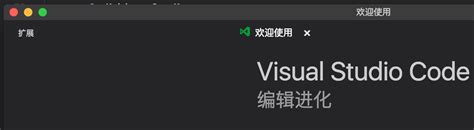 Can T Open Extension View Issue Microsoft Vscode GitHub
