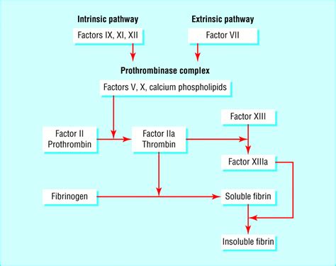 An Overview Of Antithrombotic Therapy The Bmj