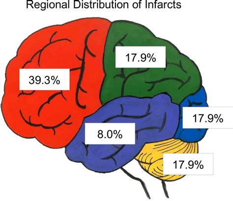 Regional Distribution Of Stroke Download Scientific Diagram