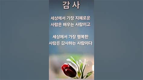 29조성자 권사 감사 세상에서 가장 지혜로운 사람은 배 우는 사람이고 세상 에서 가장 행복한 사람은 감사하는🙇‍♀️ 사람이다💥 🙇‍♂️ 🙏 아멘🙇‍♀️할렐루야🤷‍♀️
