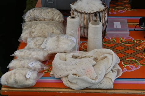 Мах ноосны чиглэлийн суффолк үүлдрийн хонины аж ахуйг танилцууллаа