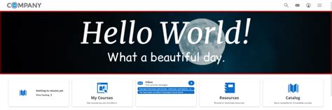 Learner Experience Design Assets And Image Specifications Absorb Help