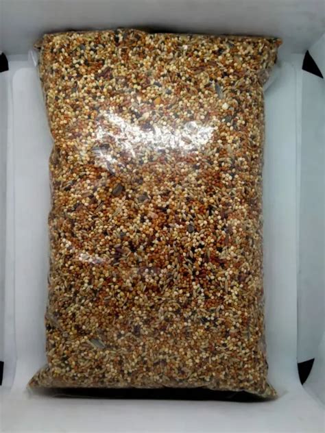 Aneka Biji Bijian 1kg Pakan Makanan Burung Hamster Tupai Gerbil Lazada Indonesia