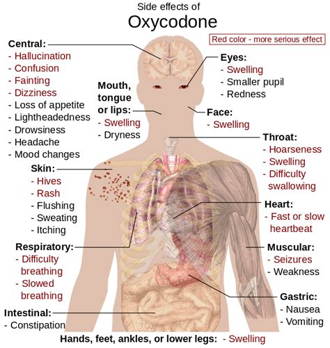 Oxycodone Side Effects Your First Step