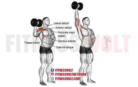 Overhead Press Dumbbells