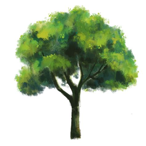 Tree Draw Pngs For Free Download