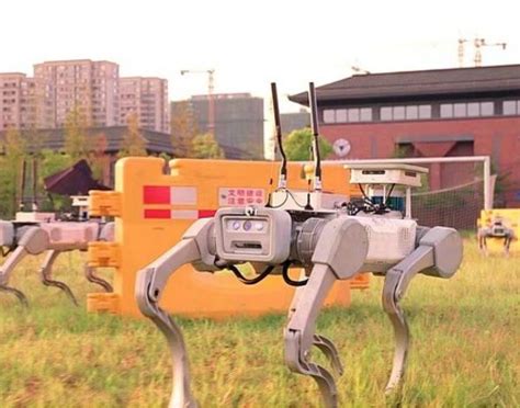deep robotics makes breakthrough in autonomous search using quadrupedal