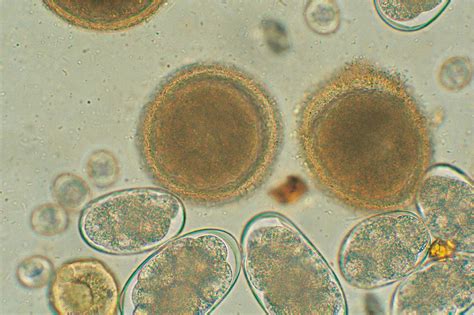 Misterhoki Link Slot Online Gacor Deposit Qris Tanpa Potongan Hari Ini