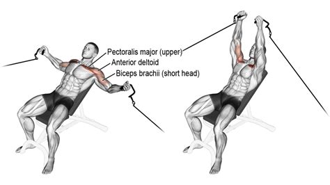 Incline Chest Fly Alternative