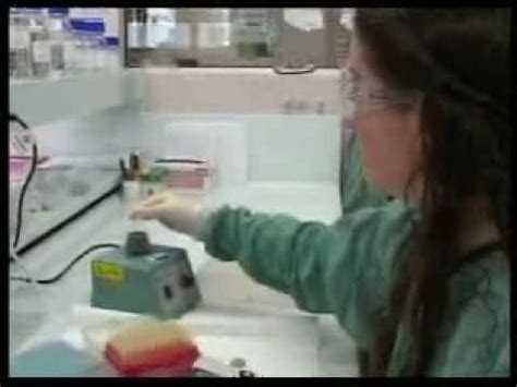 Best Images About Genetics DNA On Pinterest Activities Transcription And Biology