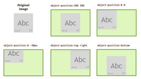 要素内部コンテンツの正確な制御CSS object position 属性の詳細解説 ITチュートリアル