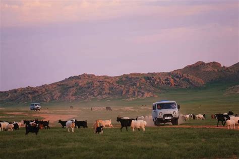 하닥투어 2박3일 몽골 직장인 추천 짧지만 알찬 일정 투어