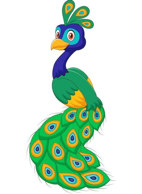 Cartoon Beautiful Peacock Vector Premium Download
