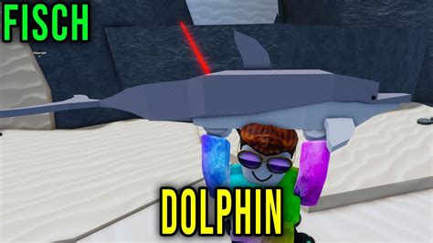 Dolphin How To Get Fisch Roblox Youtube