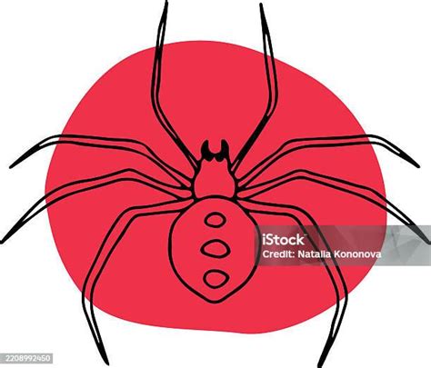 검은 과부 거미 배경에 빨간 둥근 채우기 손으로 그린 곡선 검은 선 윤곽선 평면도 거미에 대한 스톡 벡터 아트 및 기타 이미지