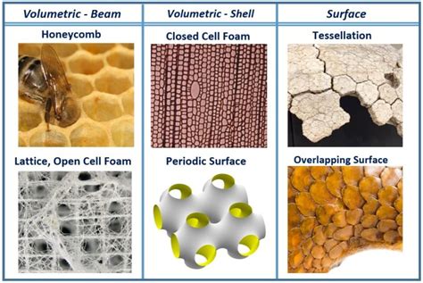 Filled Two Phd Positions Open In Additive Manufacturing Bio Inspired