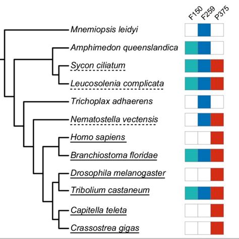 The Illustration Of A 2 Ecr Process Download Scientific Diagram