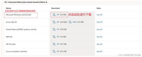 87 Oracle版本19c）下载安装教程 保姆级oracle19c客户端下载 Csdn博客