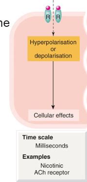 Cell Signalling Flashcards Quizlet