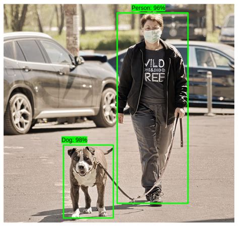Figure A Bounding Boxes Selected By The Non Maximum Suppression Download Scientific Diagram