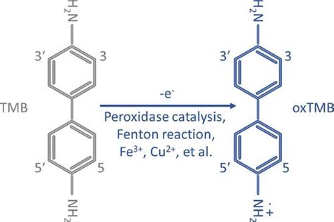 33′55′ Tetramethylbenzidine Can Be Unsuitable For Identifying