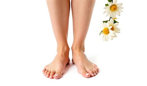 Female Foot Care And Beauty With Fresh Daisies Isolated On White