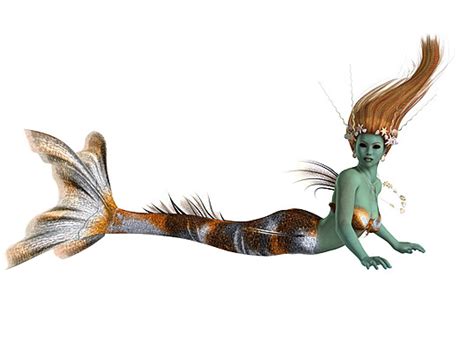 Mermaid Backgrounds Images And Pictures Free Download On Pngtree