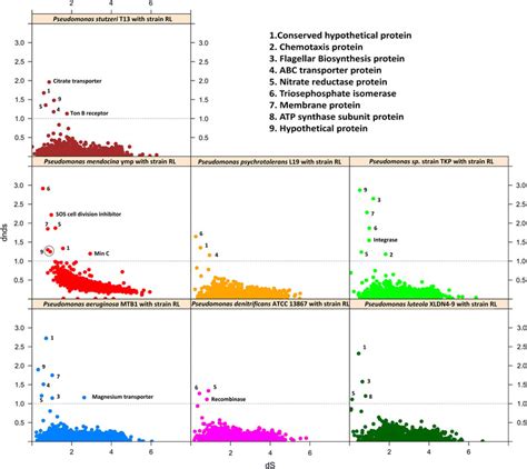 Detection Of Positively Selected Proteins Scatter Plots For Dnds