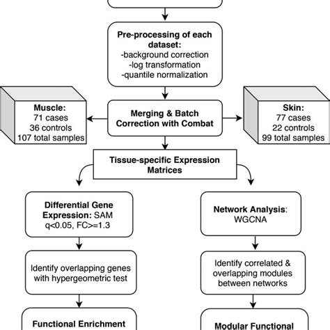 Gene Expression Meta‐analysis Pipeline Abbreviations Geo Gene