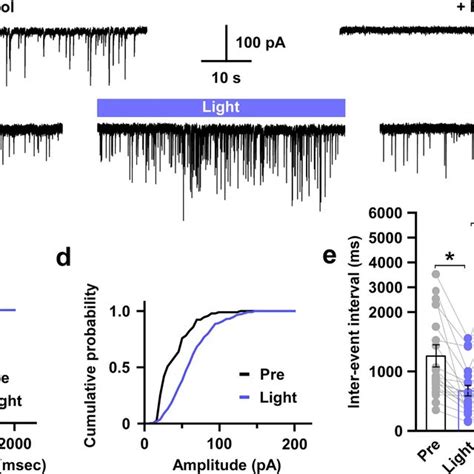 Activation Of Serotonergic Nerve Endings Increase Gabaergic Inputs To Download Scientific