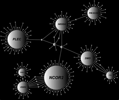 Network Based Meta Analysis Using Candidate Pathogenic Genes Through Download Scientific