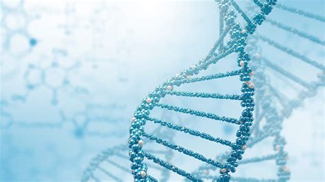 Bioinformatics Wallpapers Top Free Bioinformatics Backgrounds Wallpaperaccess