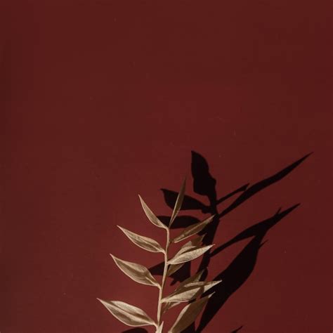 Aesthetic Maroon Background Images Free Download On Freepik
