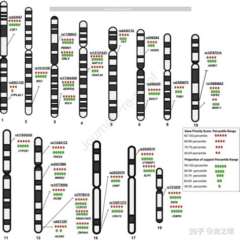 基于全基因组关联分析、细致定位和基因优先级排序方法 揭示脂联素的遗传体系结构 知乎